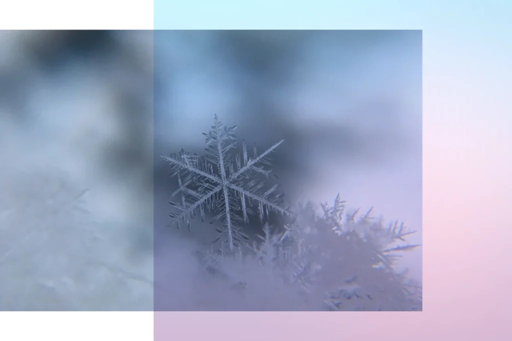 The Executive Orders, M. Bloomberg Steps Up, Snowflake Shapes, and More ...